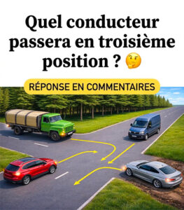 Qui doublera en troisième à ce carrefour ? Un piège logique, même pour ...